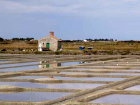 Visite de la vendée (85), balades en bord de mer et dans les marais